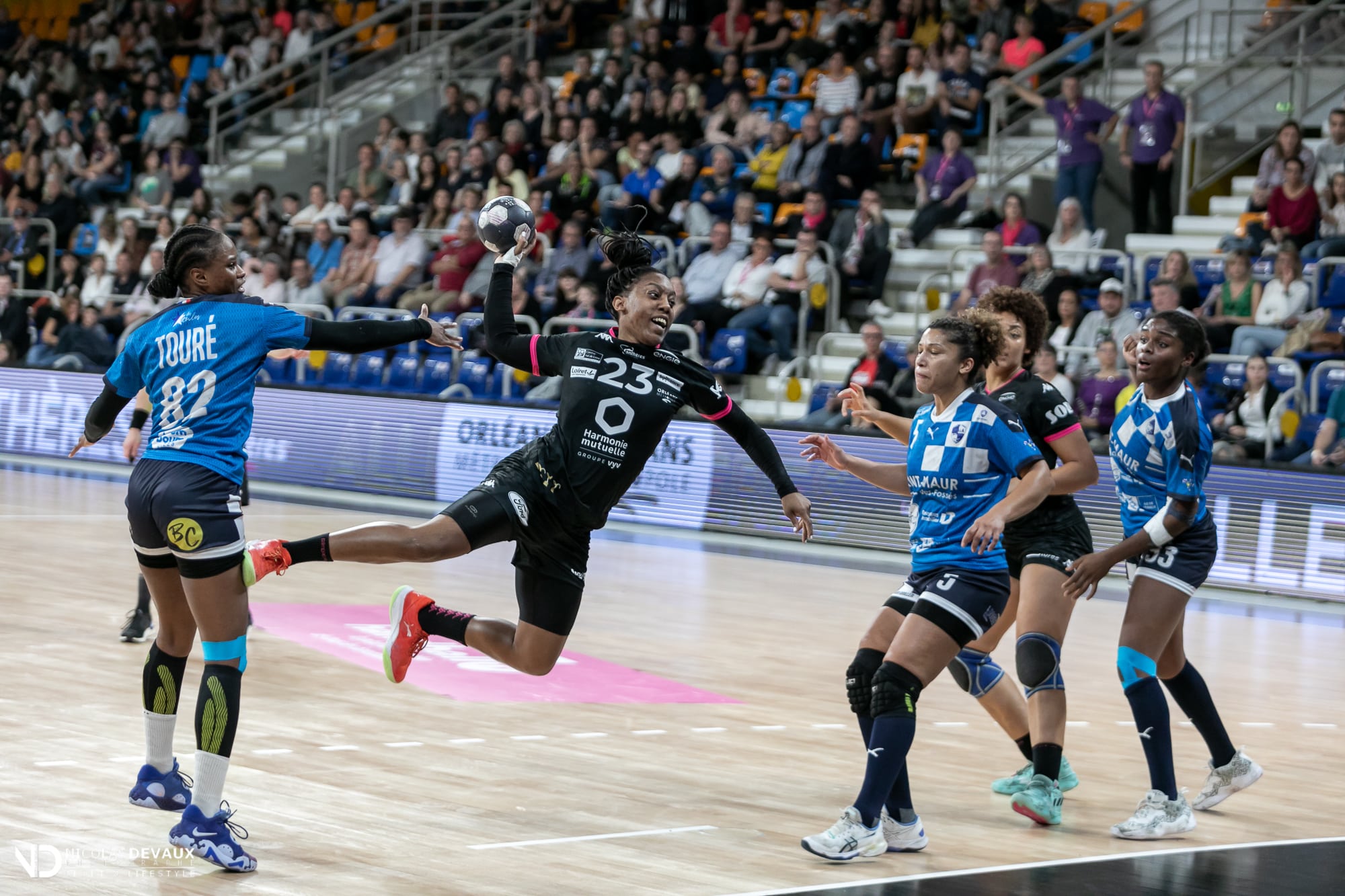 Situation du club de division 2 féminine du fleury loiret handball ...